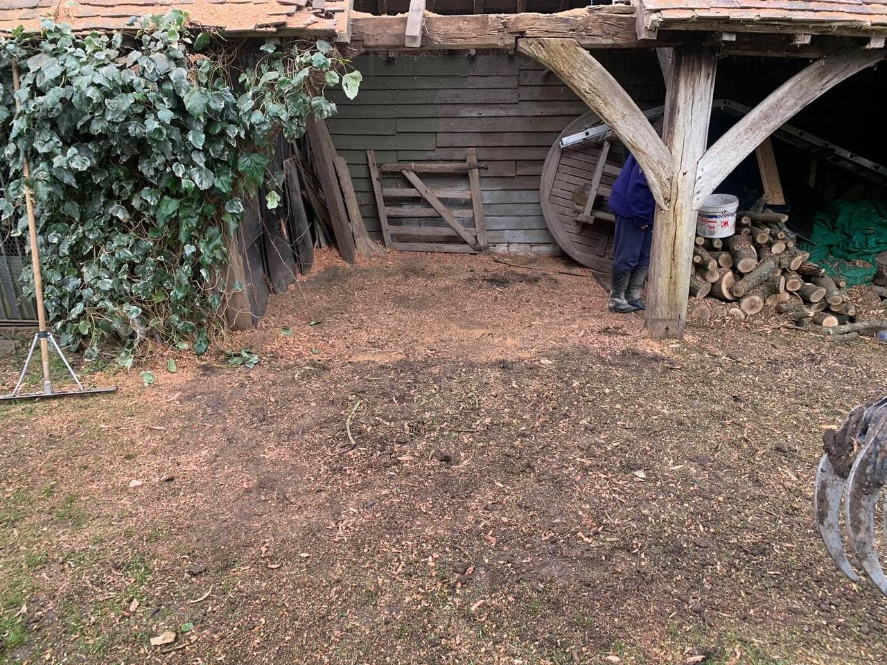 Hedge Cutting: Techniques for Windbreak Hedges - Ashford Tree Care