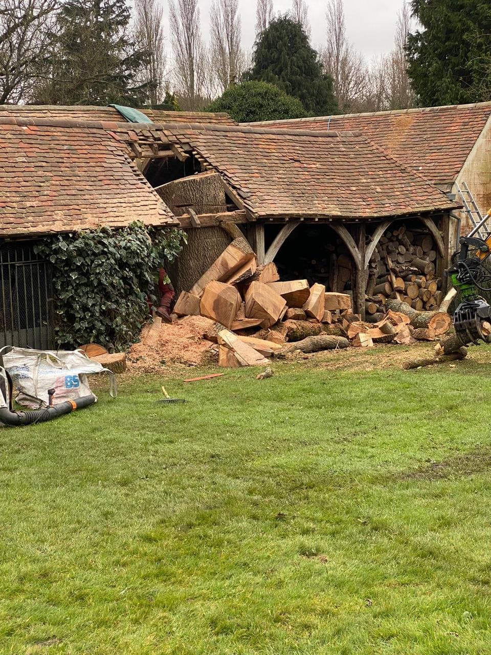 The Role of Tree Trimming in Reducing Roof and Gutter Damage - Ashford Tree Care