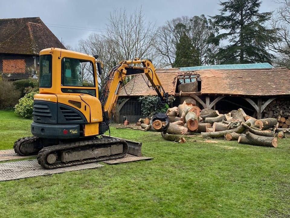 Tree Surgery - Ashford Tree Care