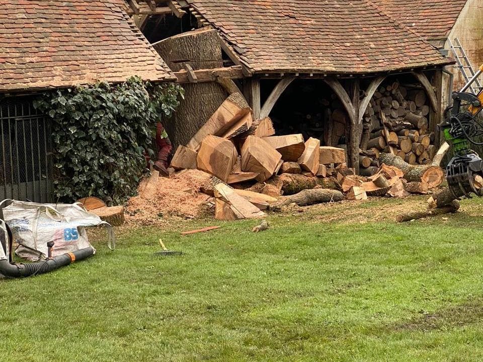 About Us - Ashford Tree Care